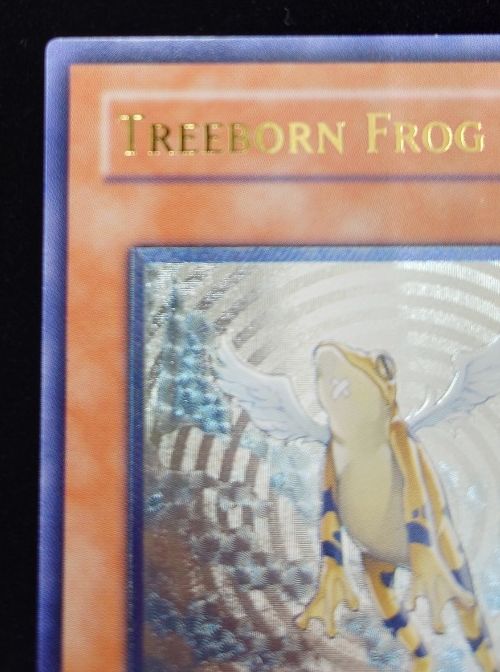 TREEBORN FROG(A)(黄泉ガエル) 遊戯王 アジア版 レリーフ